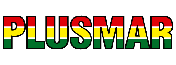 Pasajes en micro de Plusmar | Central de Pasajes